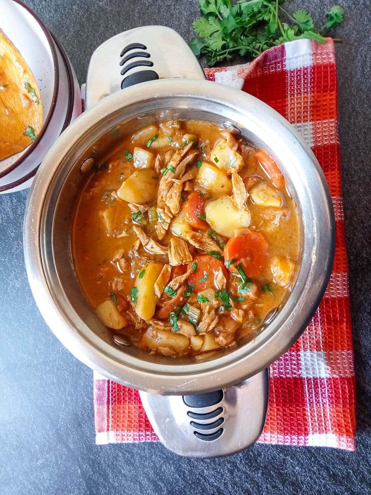 Smoked Chicken Soup - Soup Fanatic