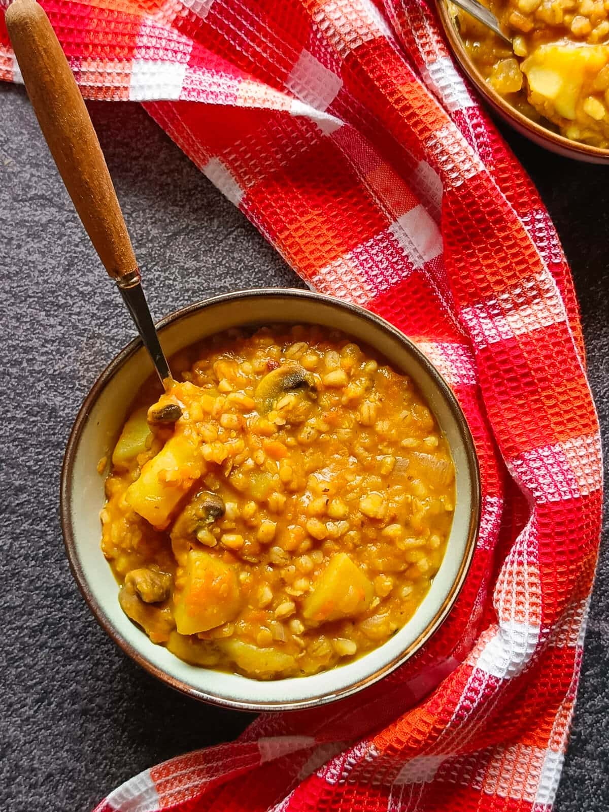 Barley Lentil Soup (low in calories) - Soup Fanatic
